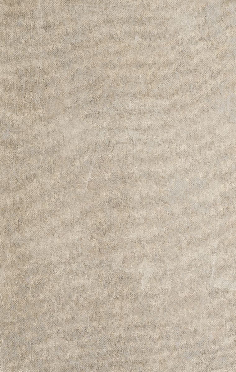 Plaster Collection | Exclusive Material for Furnishing | Belvedere